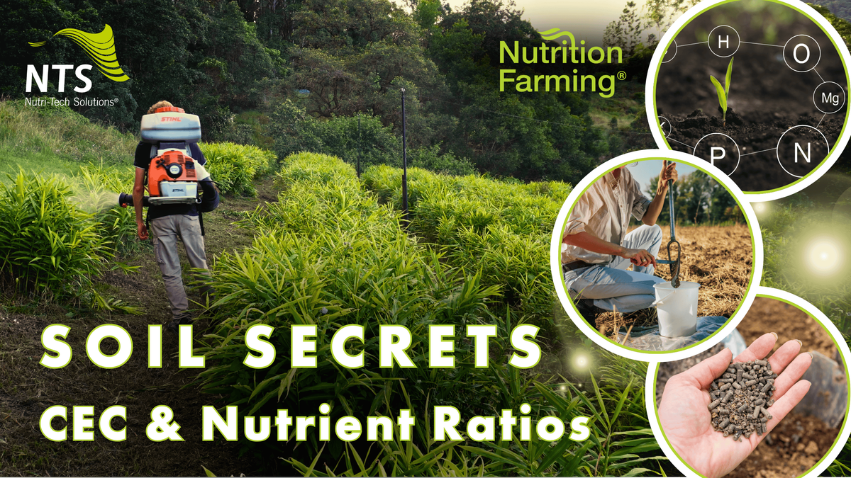🌱Soil Secrets - Mastering CEC & Nutrient Balance for Maximum Yield ...