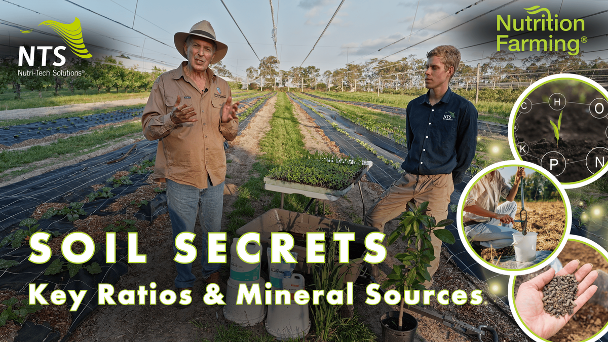 🌱Soil Secrets - Boost Soil & Plant Health with these Key Mineral Ratios - How to S3E11🌿