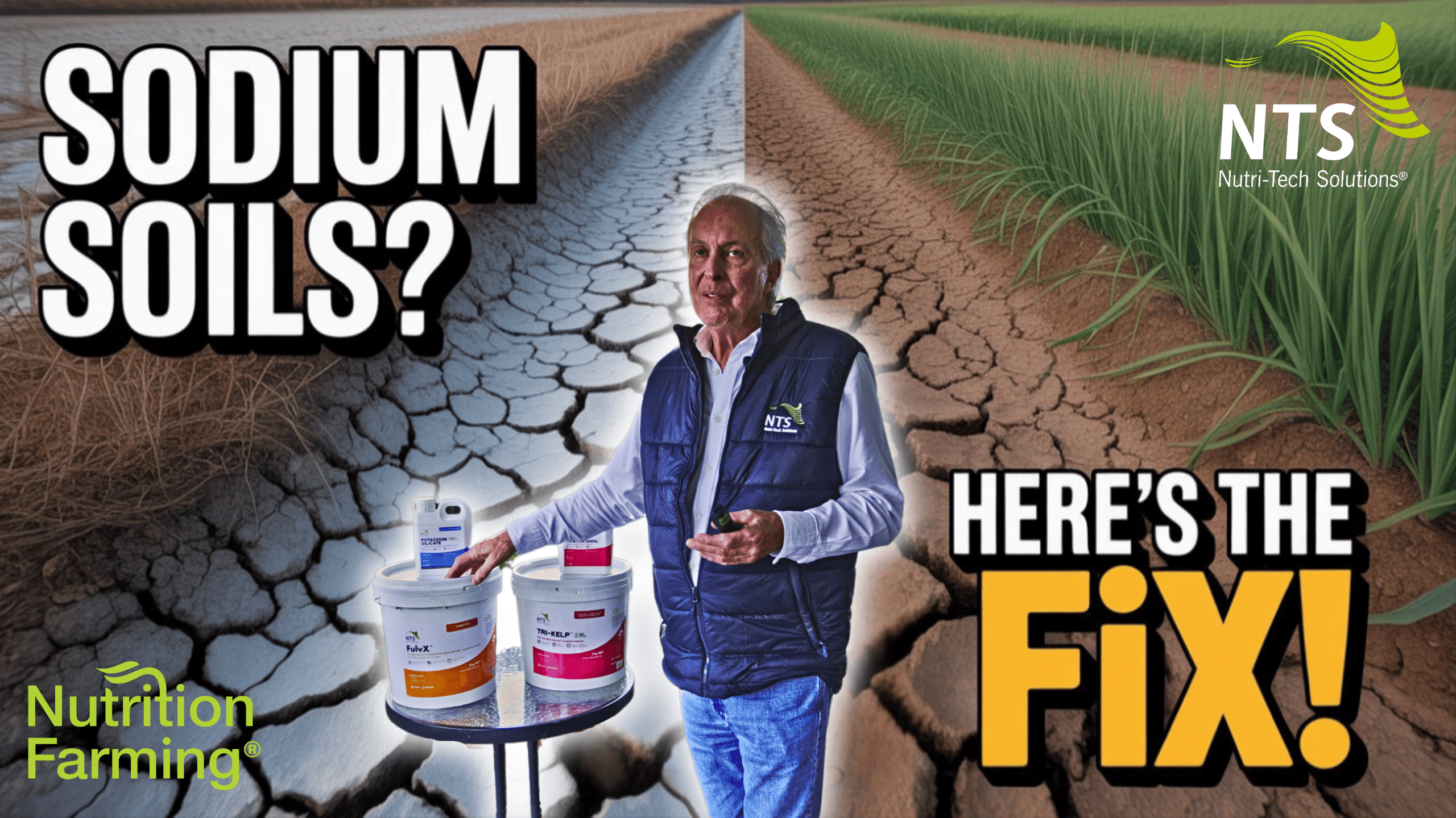 🌱Tackling High Sodium Soils - How to S4E1🌿